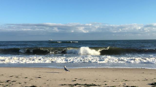 Peconic Bay Region Designated New York State Heritage Area - Hamptons.com