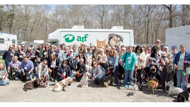 Hamptons-Based Animal Rescue Celebrating Adoption And Our Four Legged ...