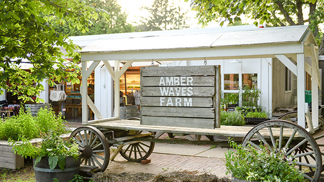 Daily Harvest Pops Up At Two Popular Hamptons Spots - Hamptons.com