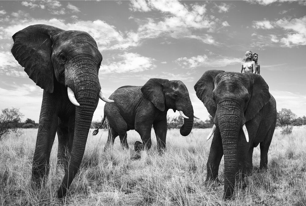 Havens Gallery Presents: Paul Giggle’s 1st Solo Exhibition - Hamptons.com