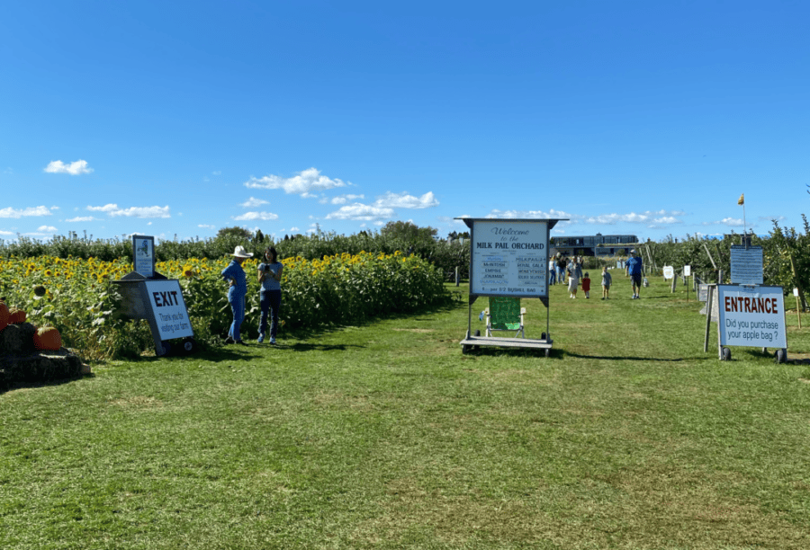 10 Reasons Why the Hamptons is Awesome in the Fall - Hamptons.com