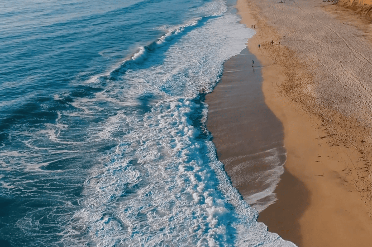 Top Hamptons Events This Weekend - Hamptons.com