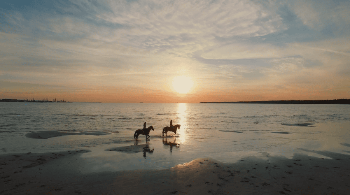 Top Hamptons Events This Weekend – July 7th, 2023 - Hamptons.com