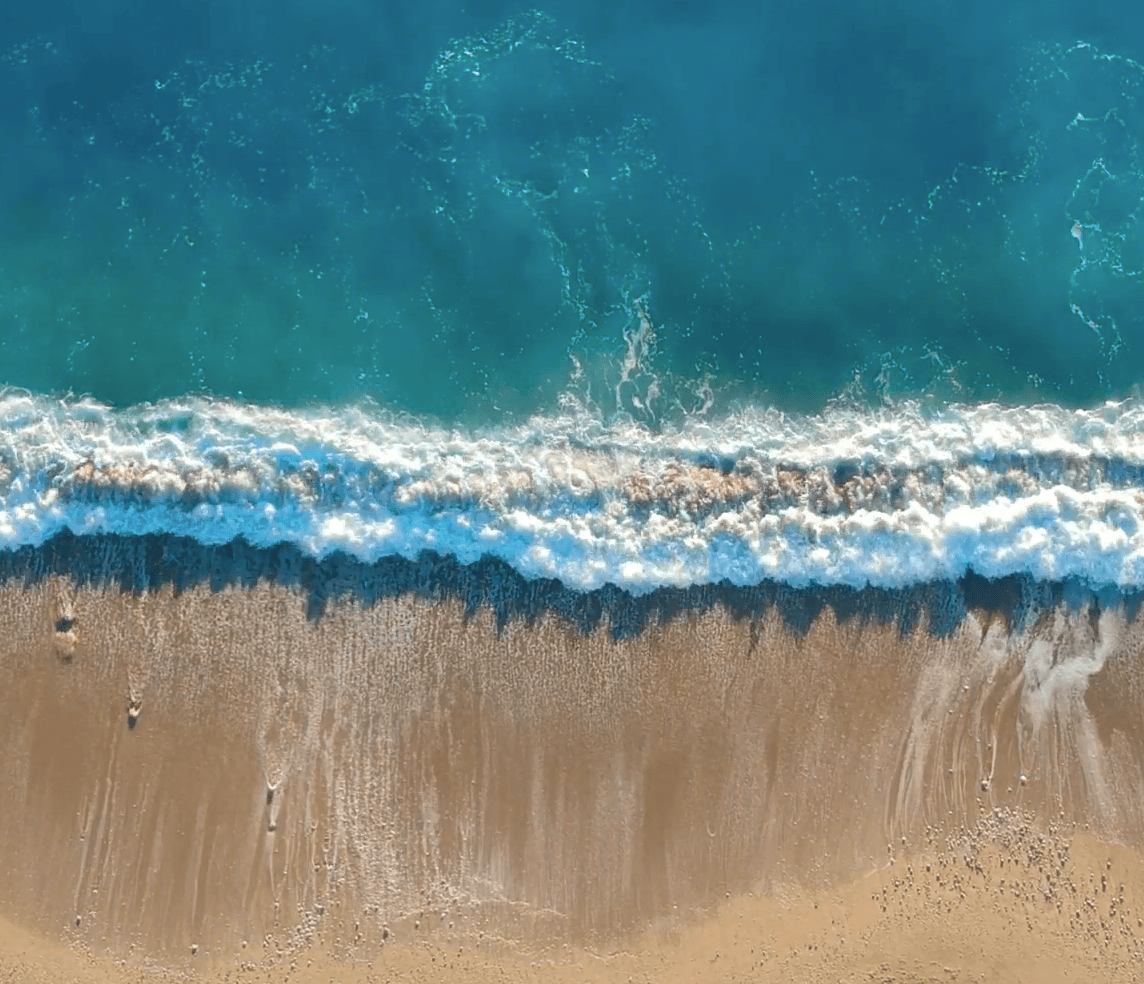 Top Hamptons Events This Weekend – August 18th, 2023 - Hamptons.com
