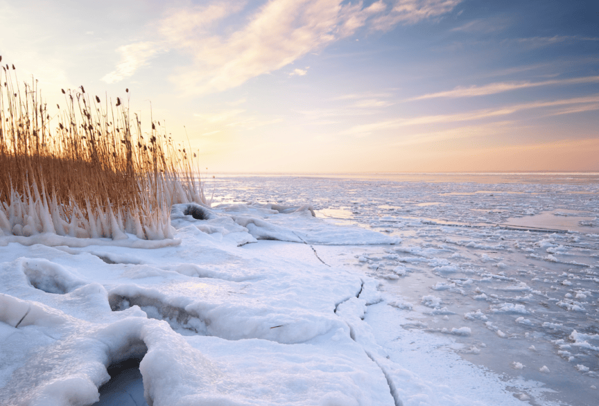 Top Hamptons Events This Weekend – December 15th, 2023 - Hamptons.com