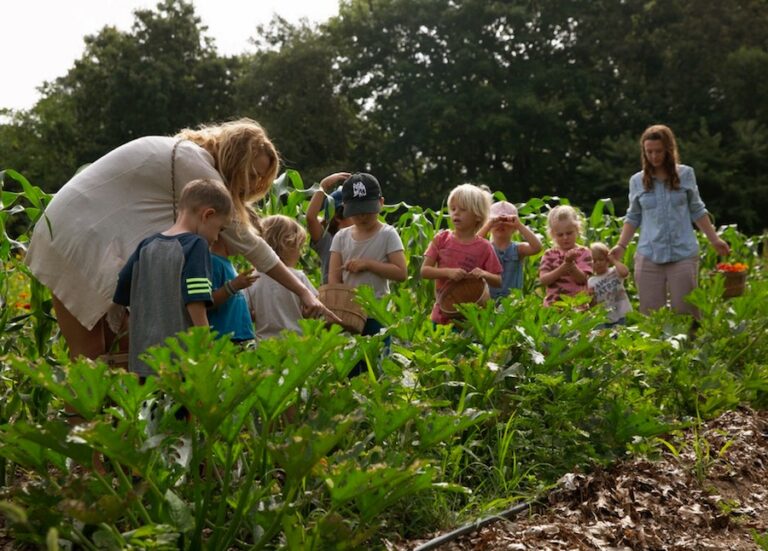 Ultimate Hamptons Summer Camp Guide - Hamptons.com