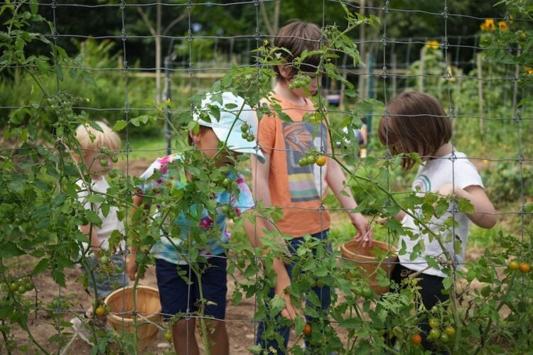 Farm Day, A Fun and Educational Camp in the Hamptons - Hamptons.com