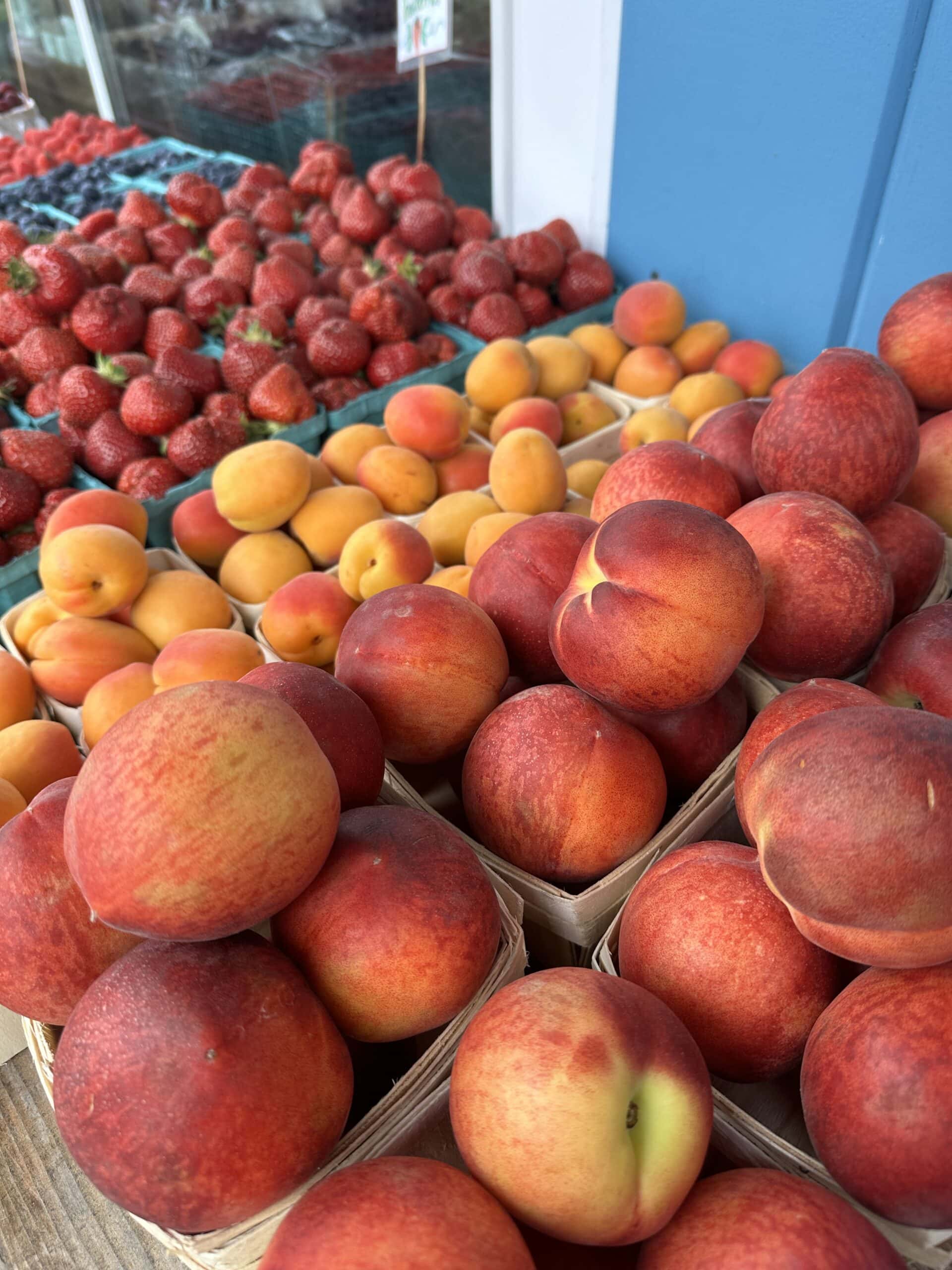 The Fresh Edit - Hamptons.com