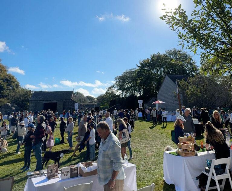 Stroll to the Sea: ARF's Beloved Dog Walk Returns to East Hampton ...