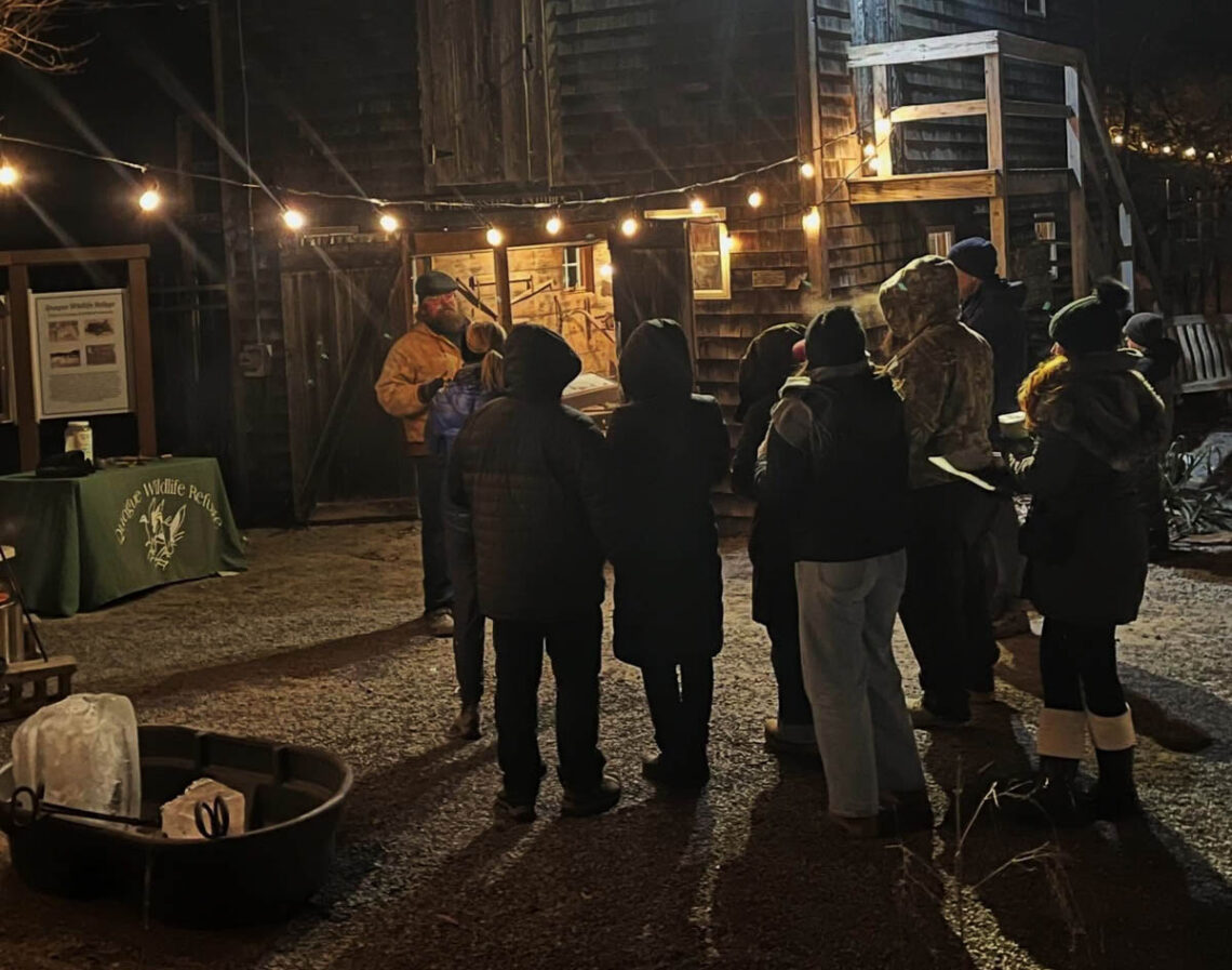 Quogue Wildlife Refuge’s “Light The Night” Is a Magical, Peaceful ...